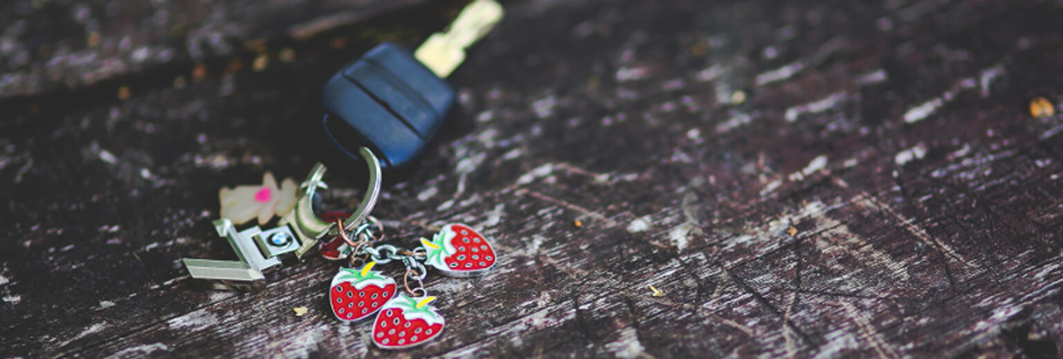 Motor Vehicle Tags – Auto Tags